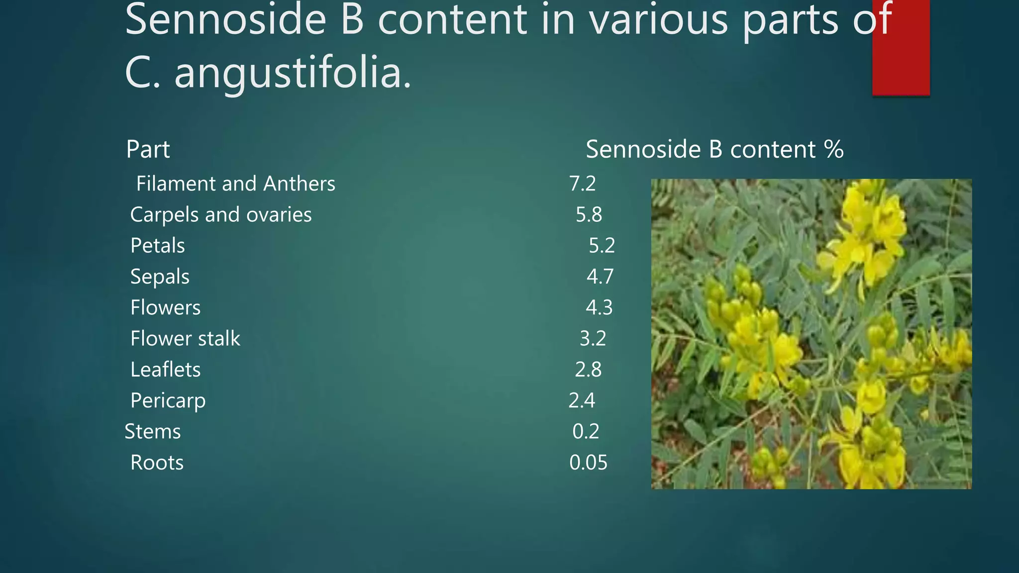 Presentation senna | PPTX