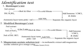 Presentation senna | PPTX