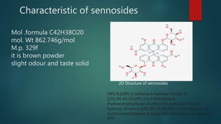 Presentation senna | PPTX