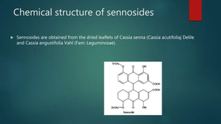 Presentation senna | PPTX