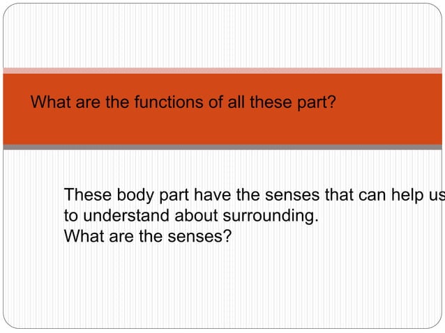 Presentation Senses Year 1 Science Pptx