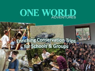 Introduction to One World Adventures | PPT