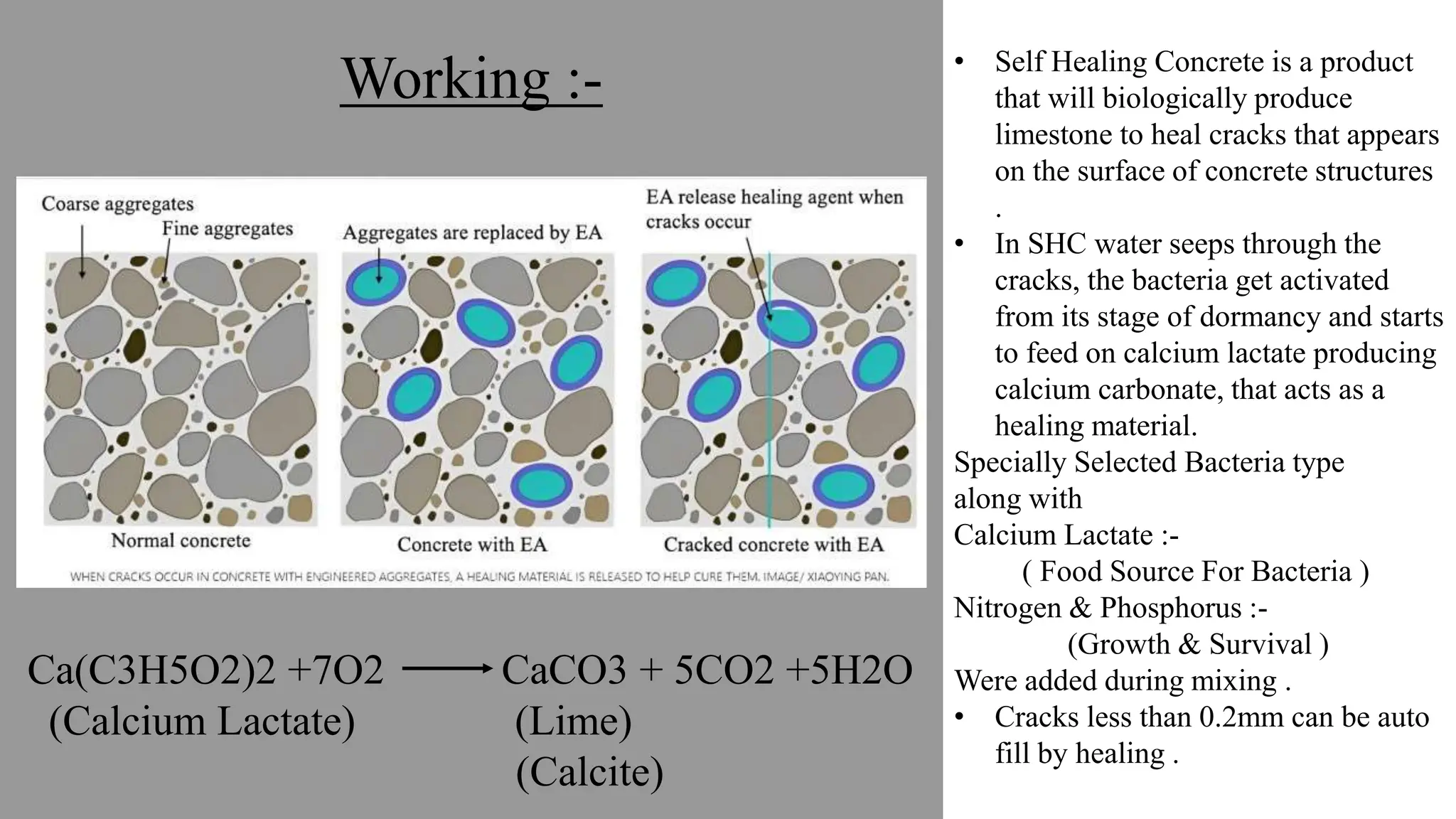 Presentation SHC.pptx on self healing concrete | PPTX