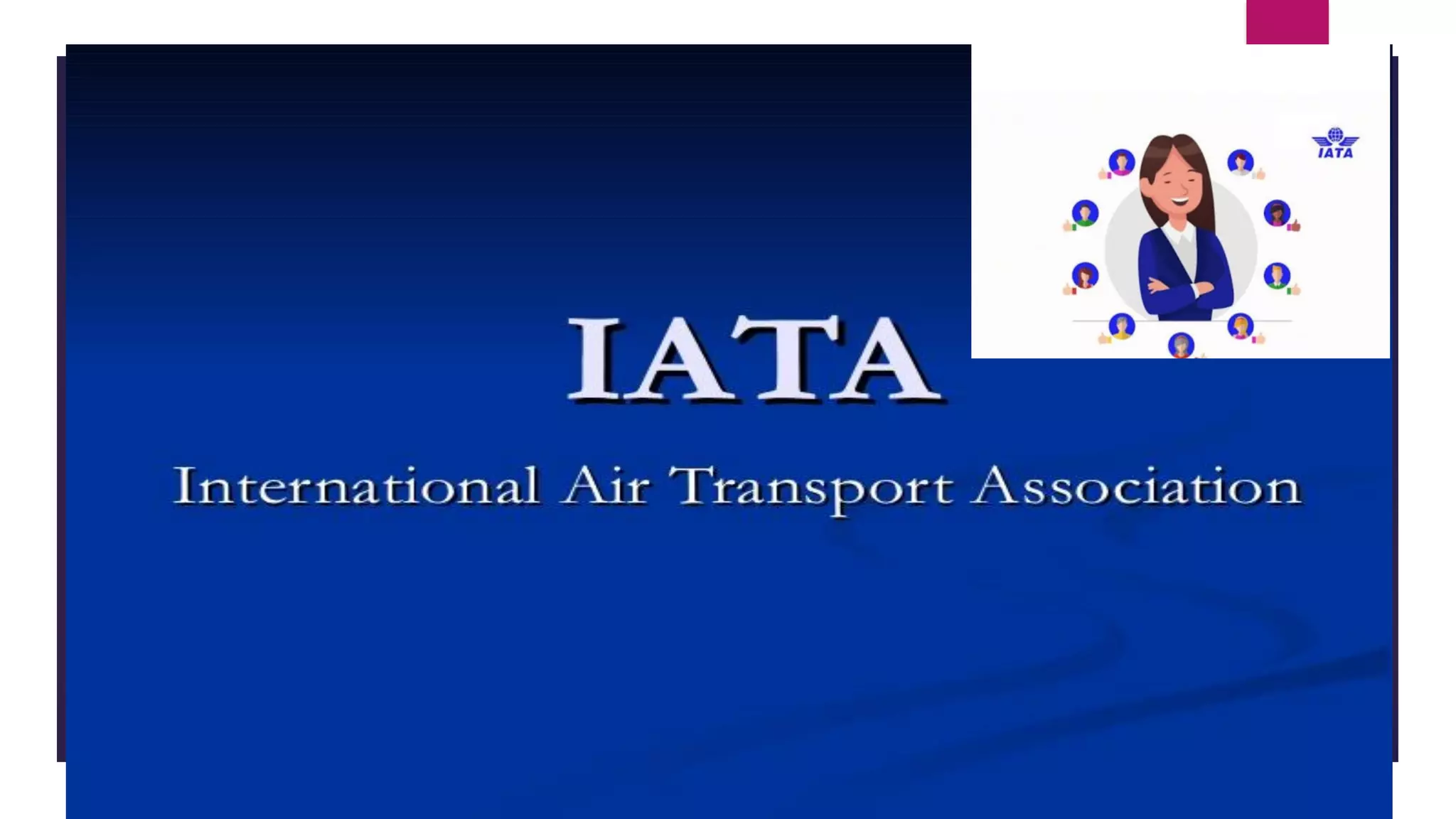 IATA and ICAO difference | PDF