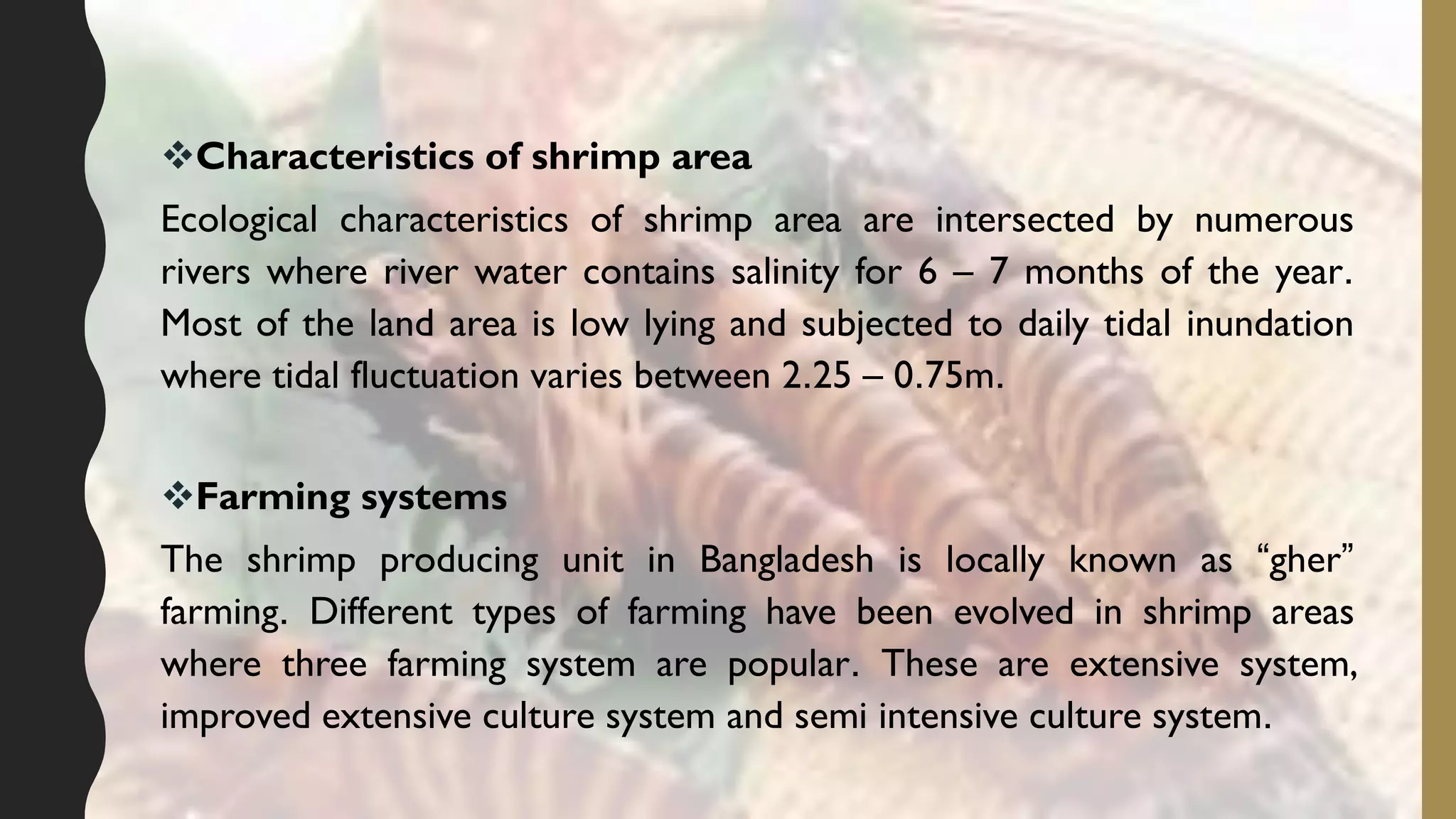Pattern and Projection of Shrimp Trade in Bangladesh | PPT