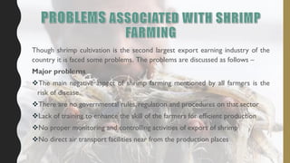 Pattern and Projection of Shrimp Trade in Bangladesh | PDF