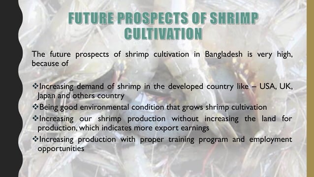 Pattern and Projection of Shrimp Trade in Bangladesh | PPT
