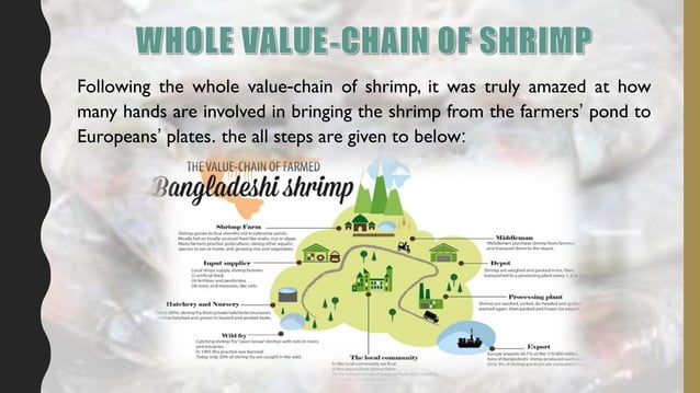 Pattern and Projection of Shrimp Trade in Bangladesh | PPT