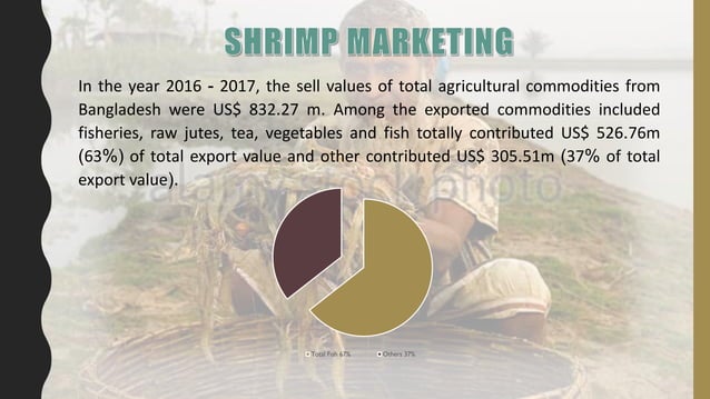 Pattern and Projection of Shrimp Trade in Bangladesh | PPT