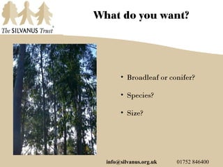 The Silvanus Trust | PPT