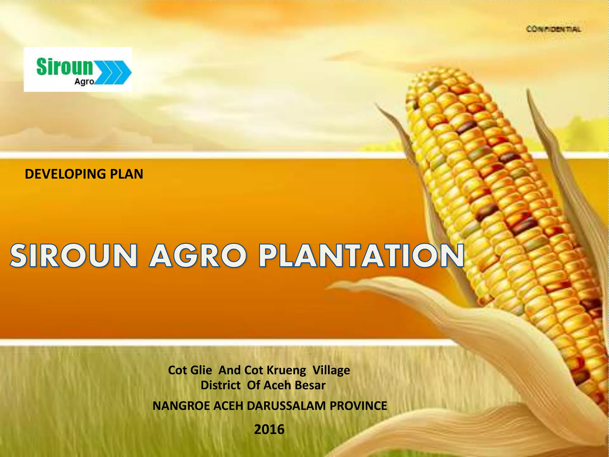 Presentation siroun agro plantation | PPT