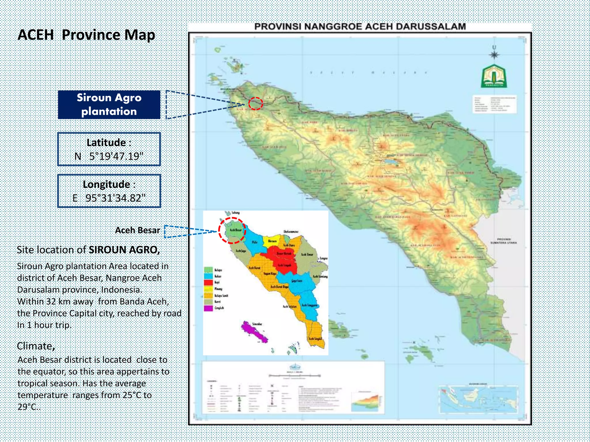 Presentation siroun agro plantation | PPT