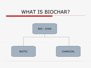 biochar | PPT