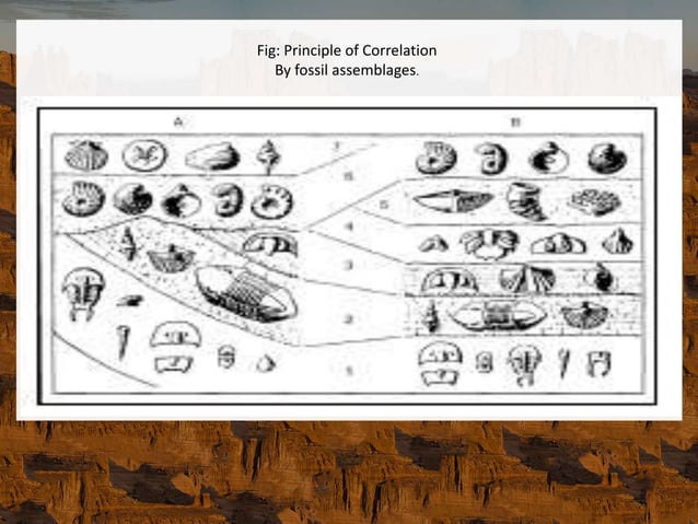 STRATIGRAPHIC CORRELATION | PPTX | Geography | Science