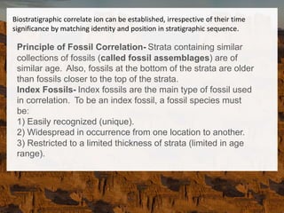 Fossil Correlation Chart