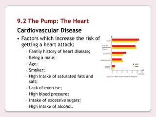 Presentationslides4heart | PPT