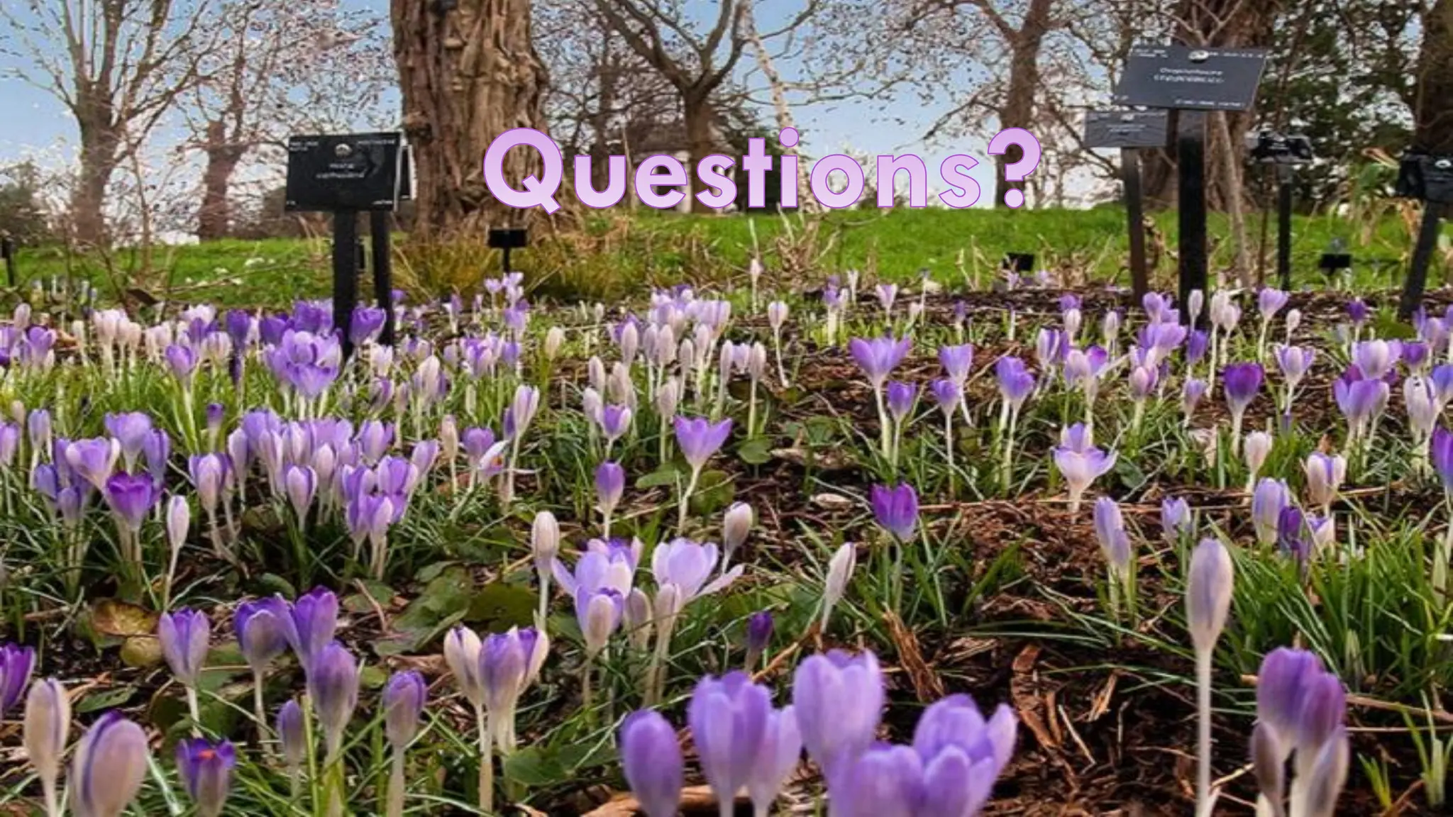 Presentation slides 5 - Scoring system, Rating and Accreditation.pdf