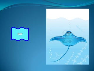 Aquatic animals | PPTX