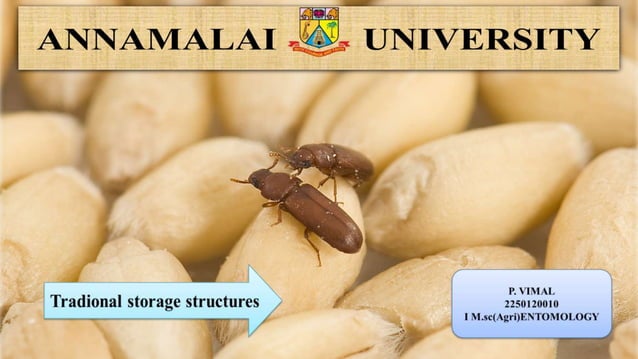 Traditional storage structure | PPTX