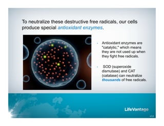 Stop the aging process,free radicals | PDF