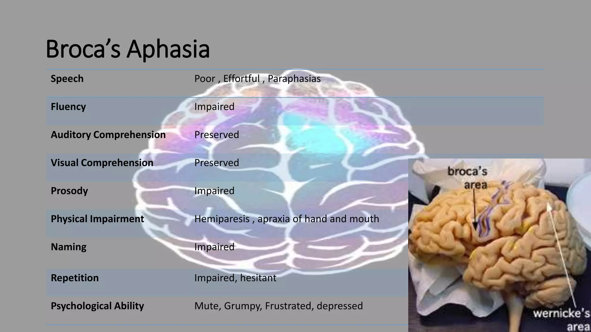 Characteristics of Non Fluent aphasia | PPSX
