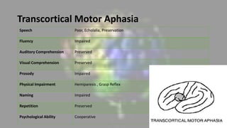 Characteristics of Non Fluent aphasia | PPSX | Brain and Nervous System ...