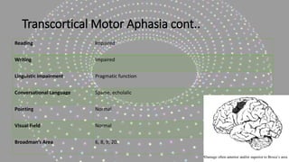 Characteristics of Non Fluent aphasia | PPSX