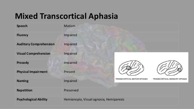 Characteristics of Non Fluent aphasia
