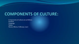 culture and its types and effects | PPTX