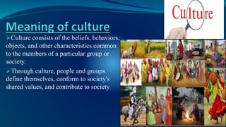 culture and its types and effects | PPTX