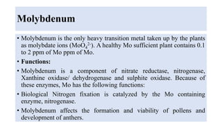 soil-micronutrients.pptx