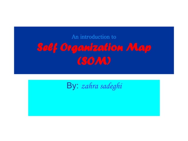 Self Organization Map | PDF