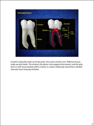 Flat-oval root canal preparation with Self-Adjusting File instrument: a ...