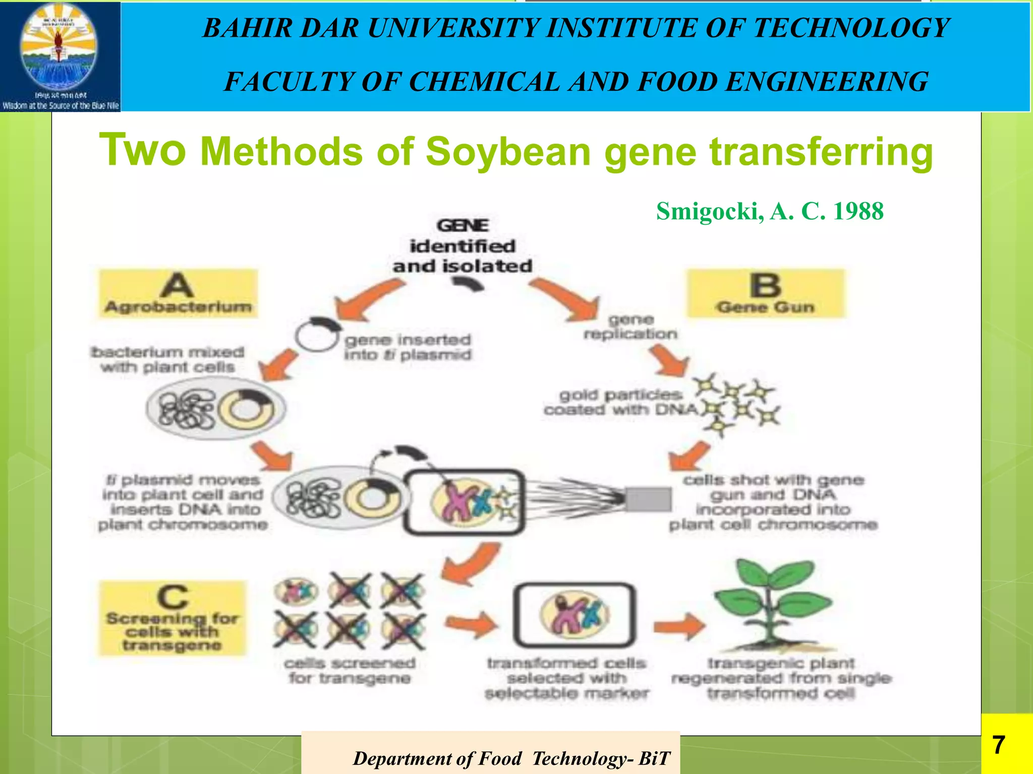 Presentation soybean | PPTX