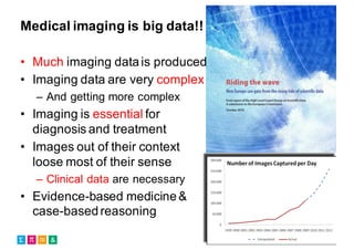 Medical image analysis and big data evaluation infrastructures | PDF