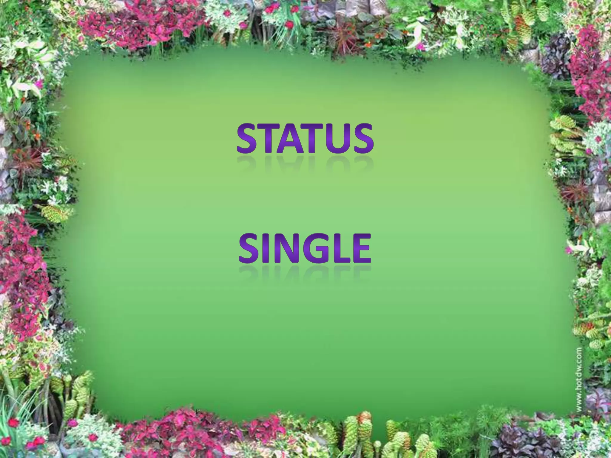 Presentation status single | PPTX