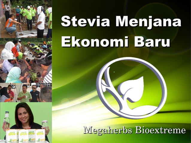 Presentation stevia | PPT