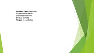 Presentation Stevia.pptx