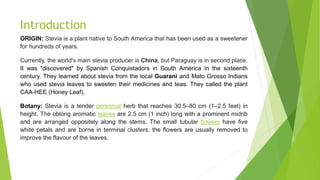 Presentation Stevia.pptx