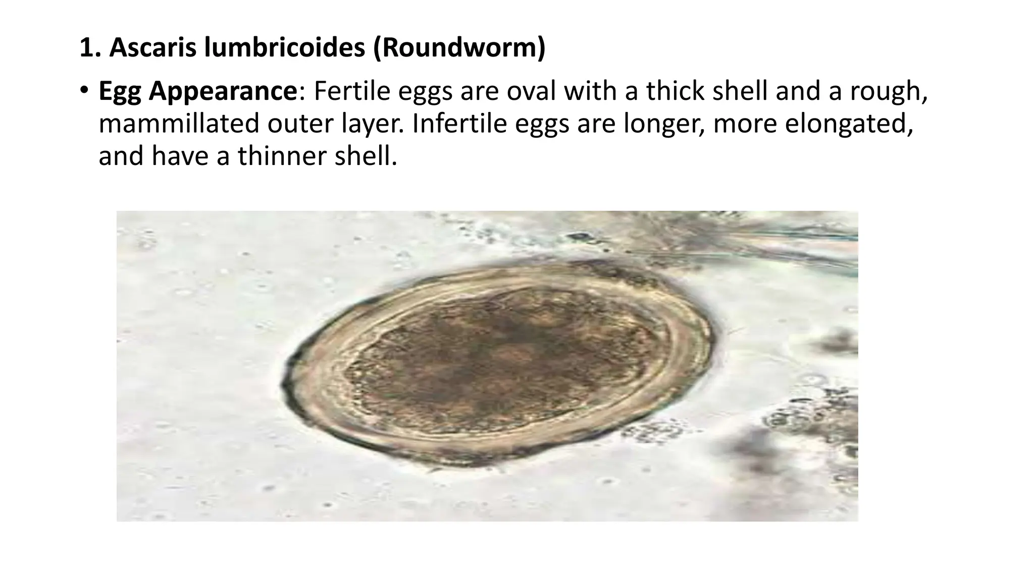 explained procedures for stool sample analysis | PPTX