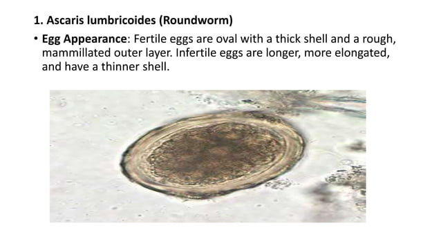 explained procedures for stool sample analysis | PPT