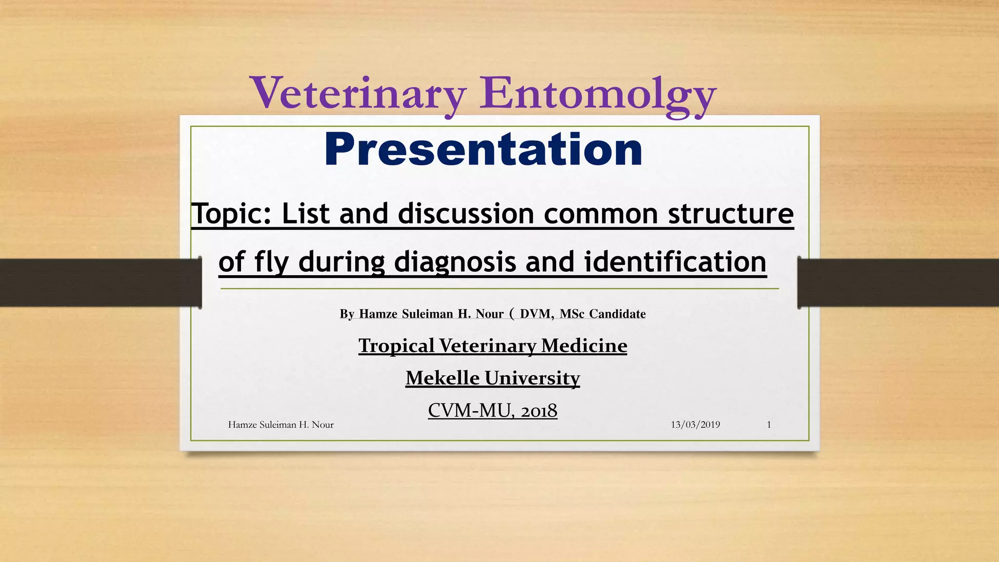 Common structure of fly | PPT