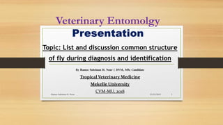 Common structure of fly | PPT