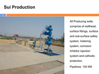 Presentation Sui Field.pptx