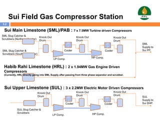 Presentation Sui Field.pptx