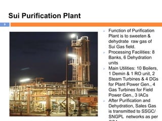 Presentation Sui Field.pptx
