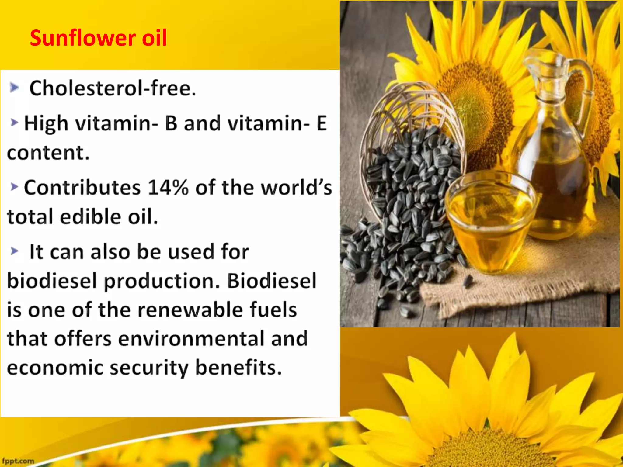 presentation sunflower.pptx