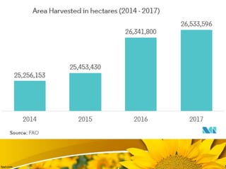 presentation sunflower.pptx
