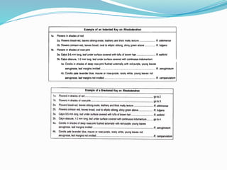 Presentation swarnaprava sahoo banki college.pptx