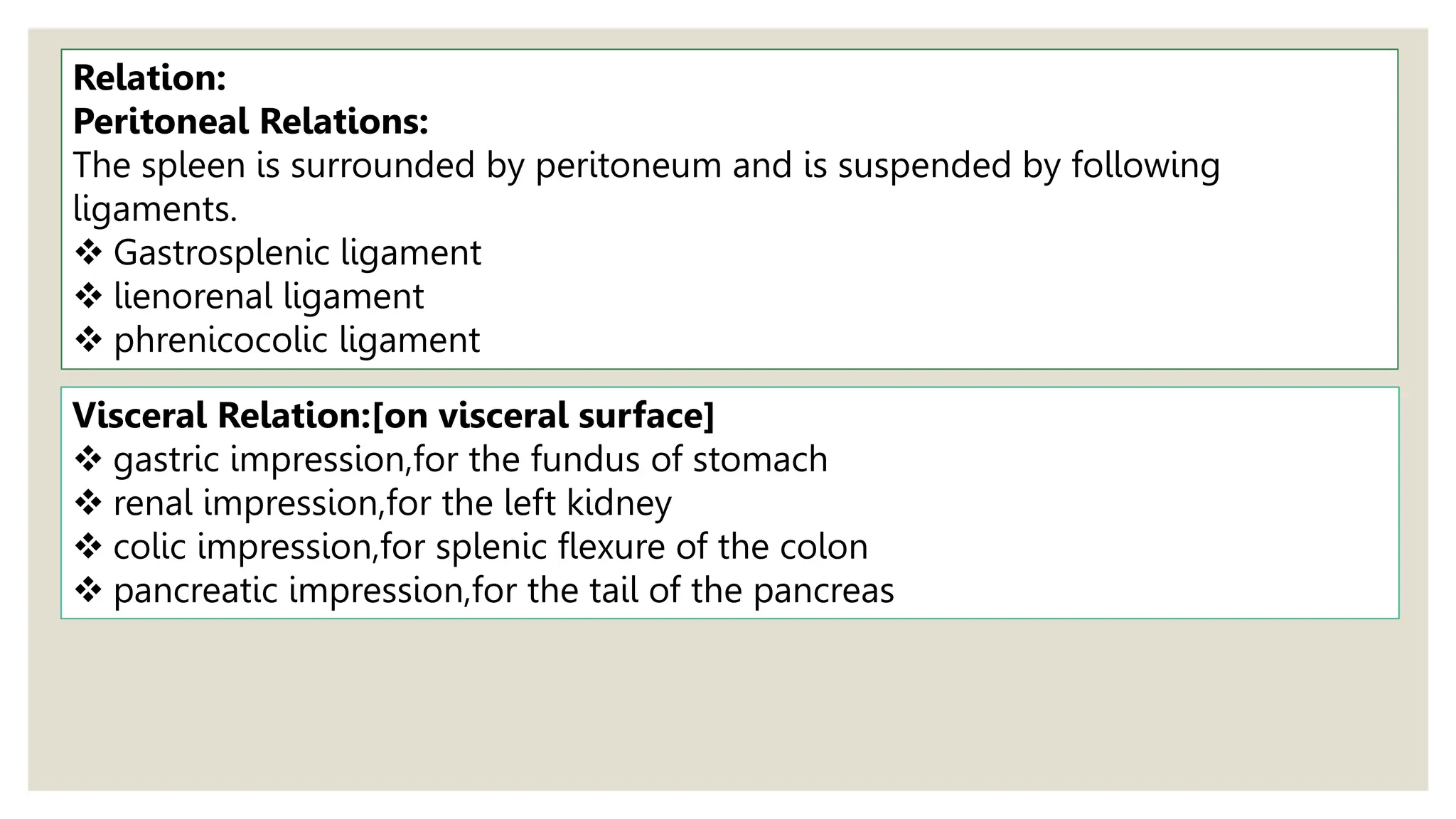 Gross anatomy of spleen location and blood supply.pptx